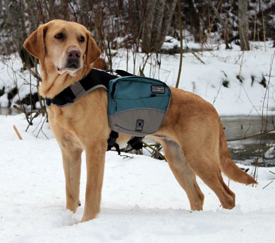 backpack twig | Eromit Labrador Retrievers